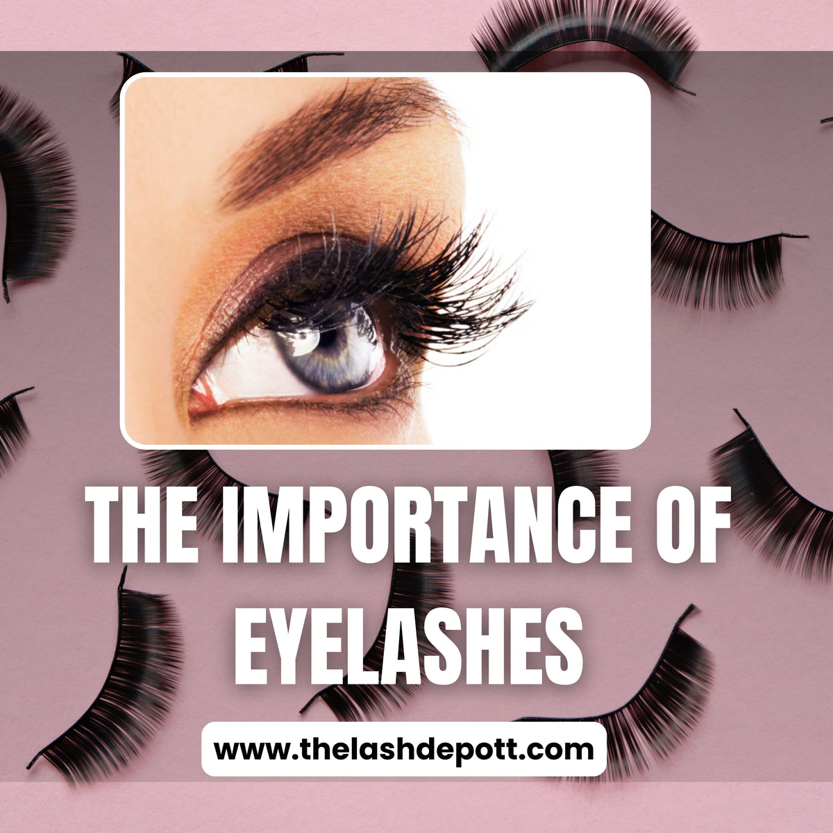 The Importance of Eyelashes – The Lash Depott
